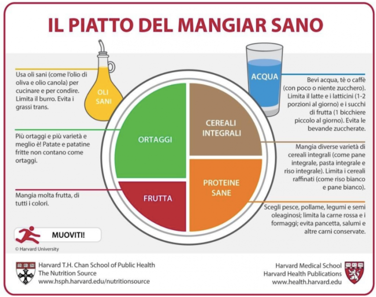 Il Piatto del Mangiare Sano di Harvard | Dispens@